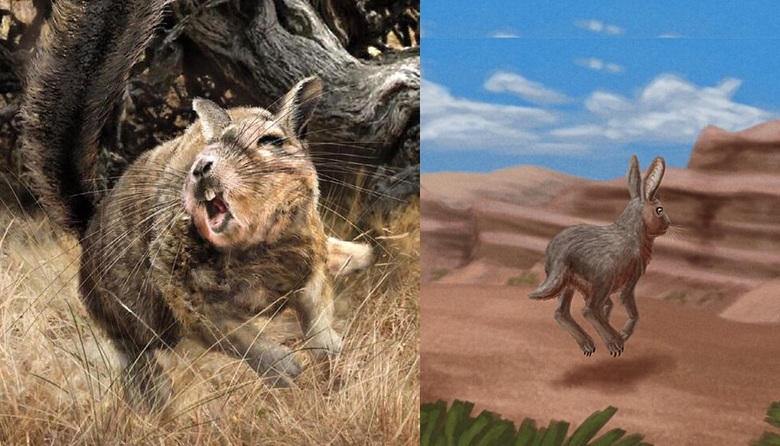 Investigadores de La Plata descifraron el misterio sobre el origen de ...