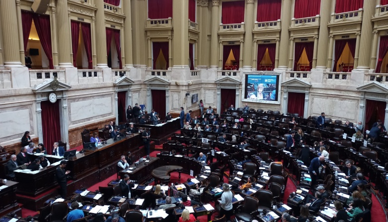 La Cámara De Diputados Le Dio Media Sanción A Un Proyecto Que Pone