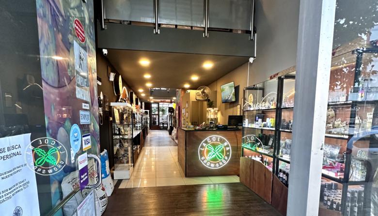 Grow shops cannábicos en La Plata: el eslabón comercial de una cultura ...