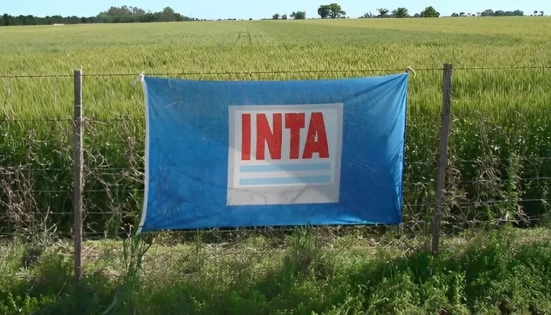 Otra vez el carro delante del caballo - Info Blanco Sobre Negro