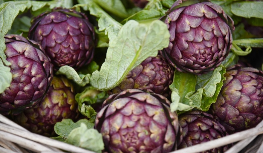 Ofrecerán visitas guiadas para conocer en detalle el proceso de ...